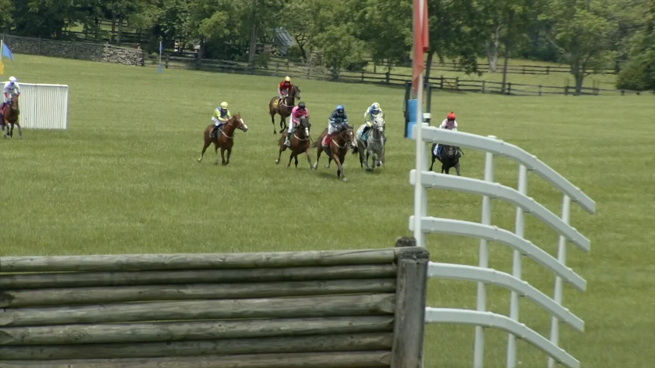 2020 Middleburg Spring Races - Middleburg Spring R3 The Temple Gwathmey ...