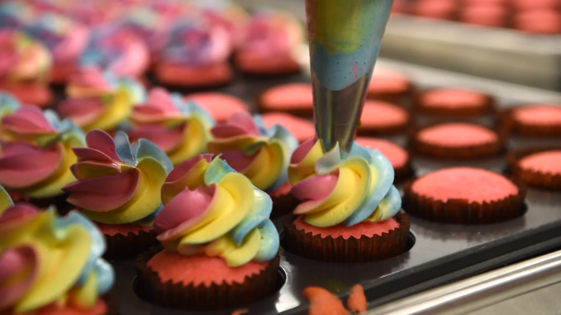 Katelyn Matheson - ANZ Teaser on Vimeo