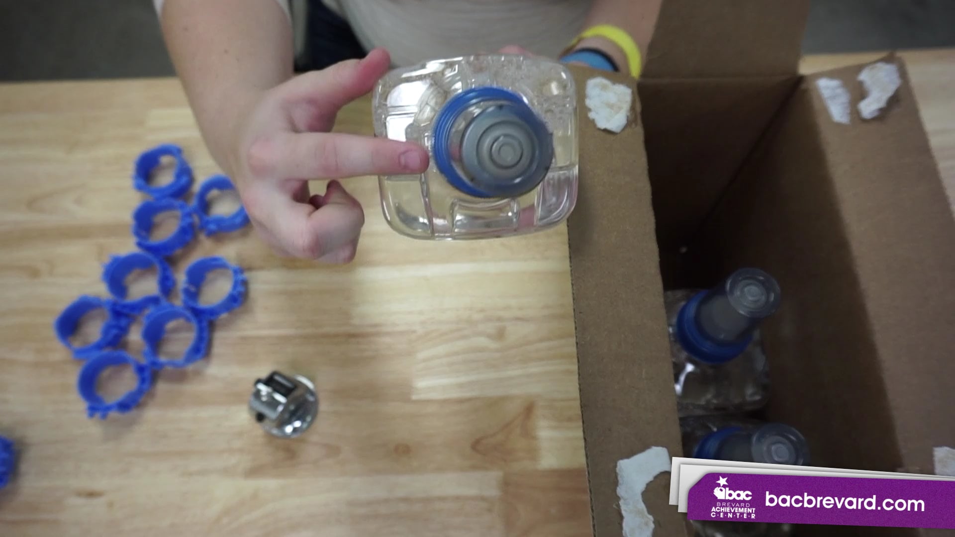 Purell Collars on Vimeo