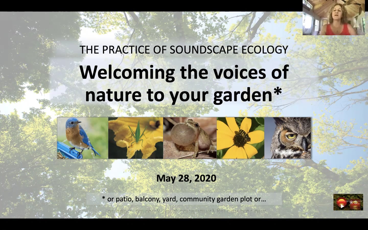 Soundscape Ecology: Bringing the Sounds of Nature to Your Yard on Vimeo