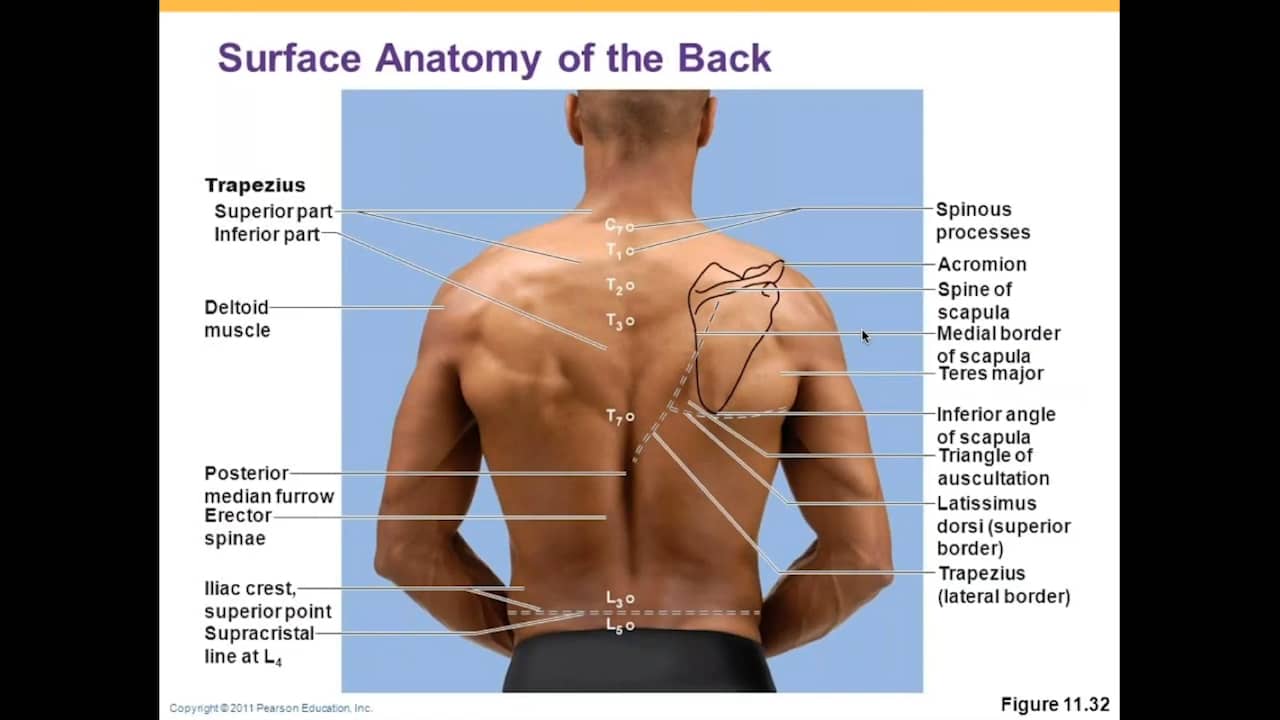 International Surgical Protocol for Rib Fixation with Jeremy Hsu, MD on ...