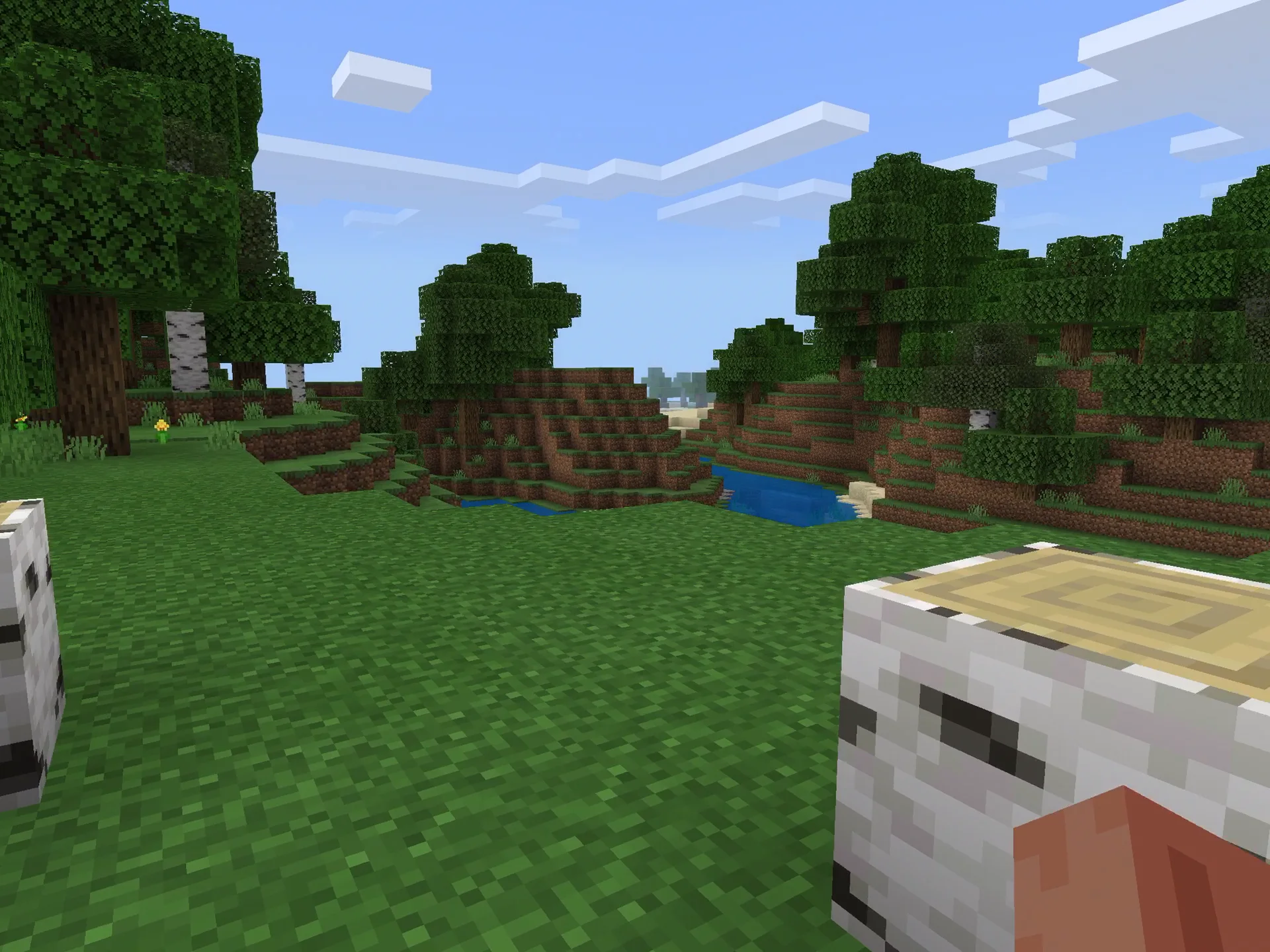 Minecraft BG on Vimeo