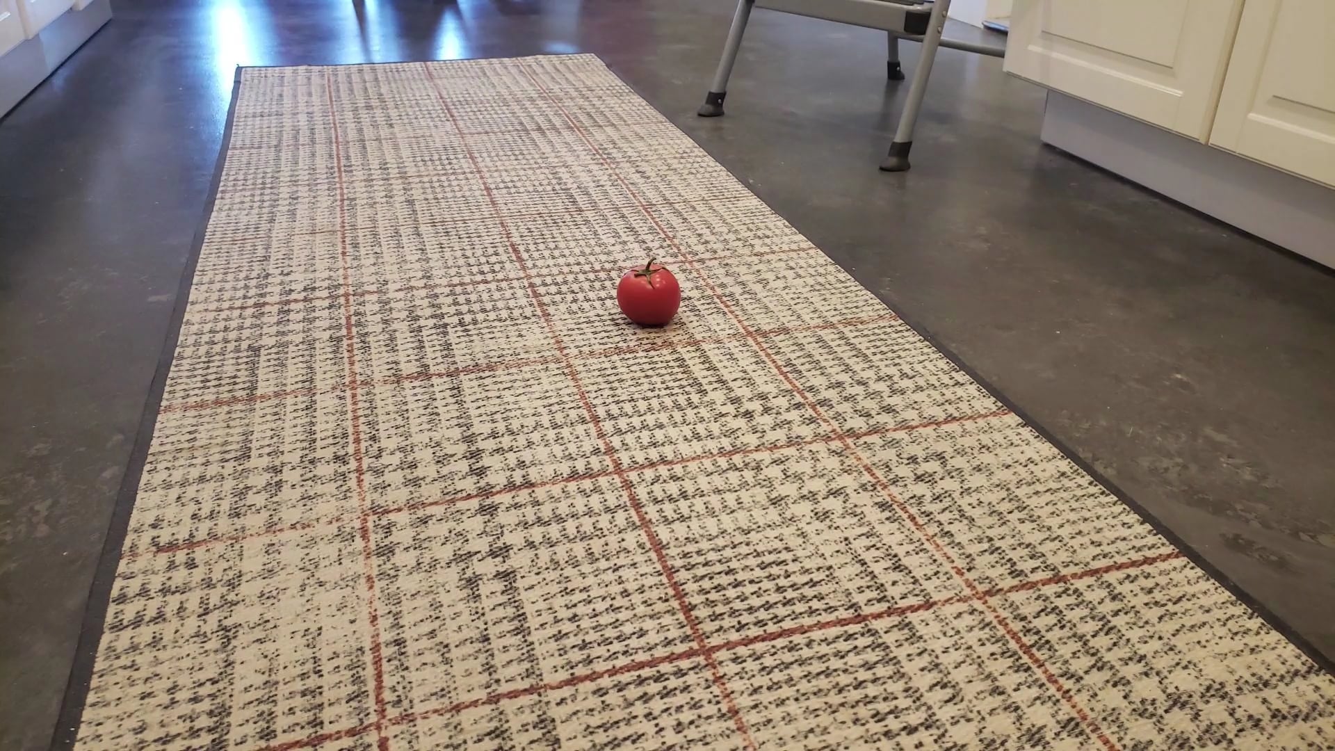 Seay_Ginger_Animation on Vimeo