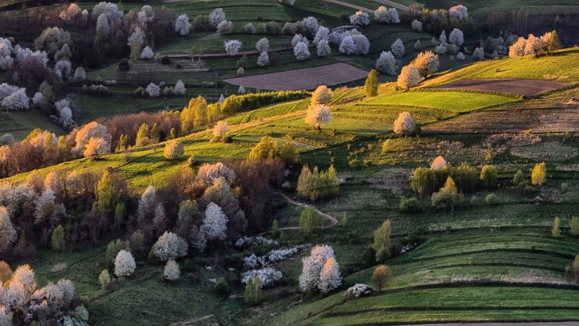 Slovakia the place like no other photographs by Gabriel Antal on Vimeo