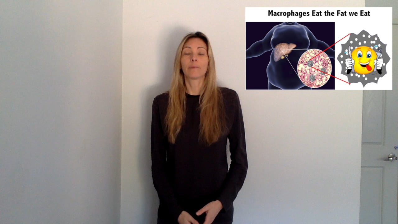 Michelle Ferrari Cestari_3MT Competition 2020, Faculty of Medicine, UQ ...