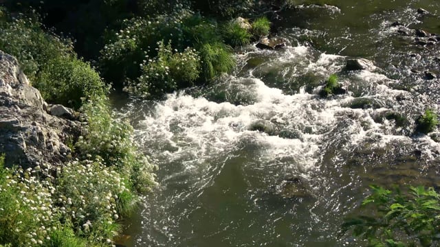 Water Rapids Stream - Free video on Pixabay