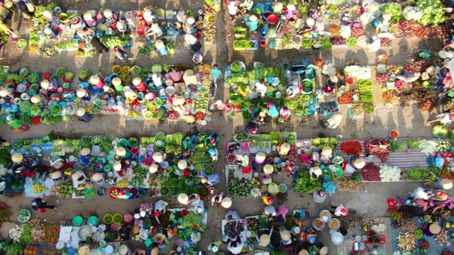 200+ Free Vietnam & Nature Videos, HD & 4K Clips - Pixabay