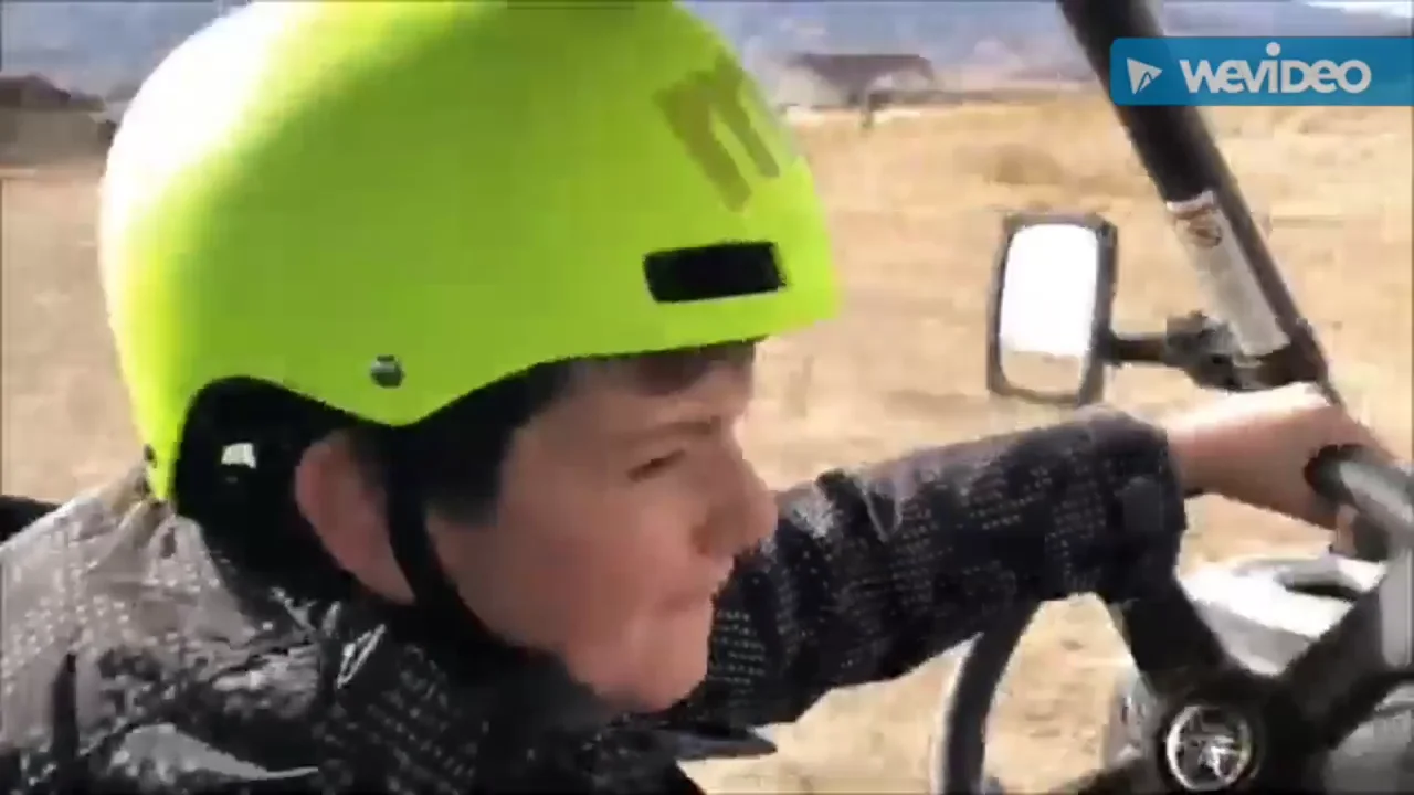 Oh Shiitake Mushrooms: The Movie (2020)