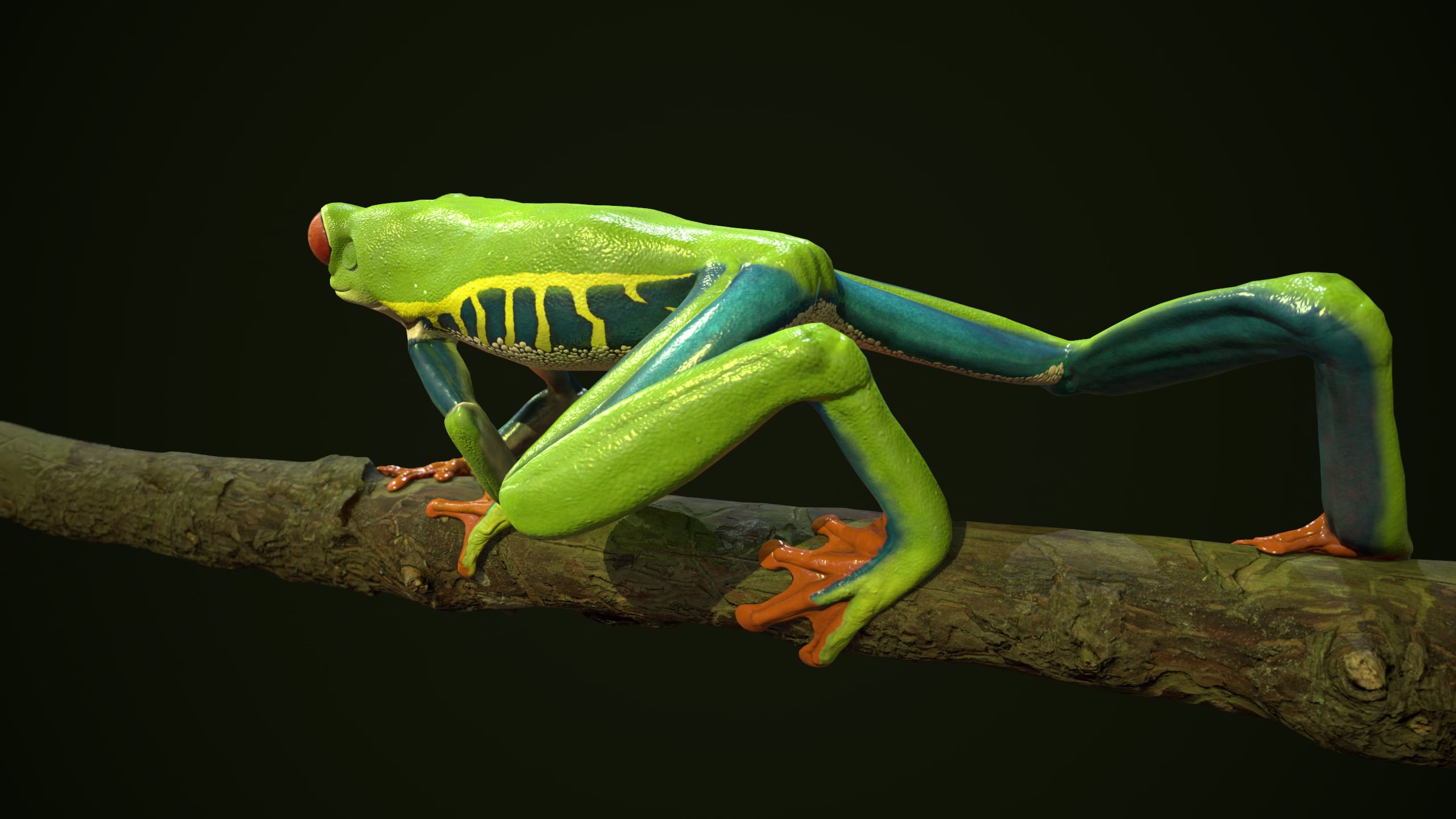 Jesse Atter - Frog Turnaround Base 2 on Vimeo