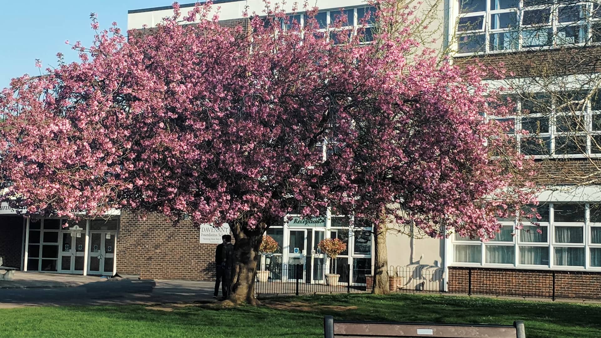 Davenant Foundation School - Welcome Year 7 on Vimeo