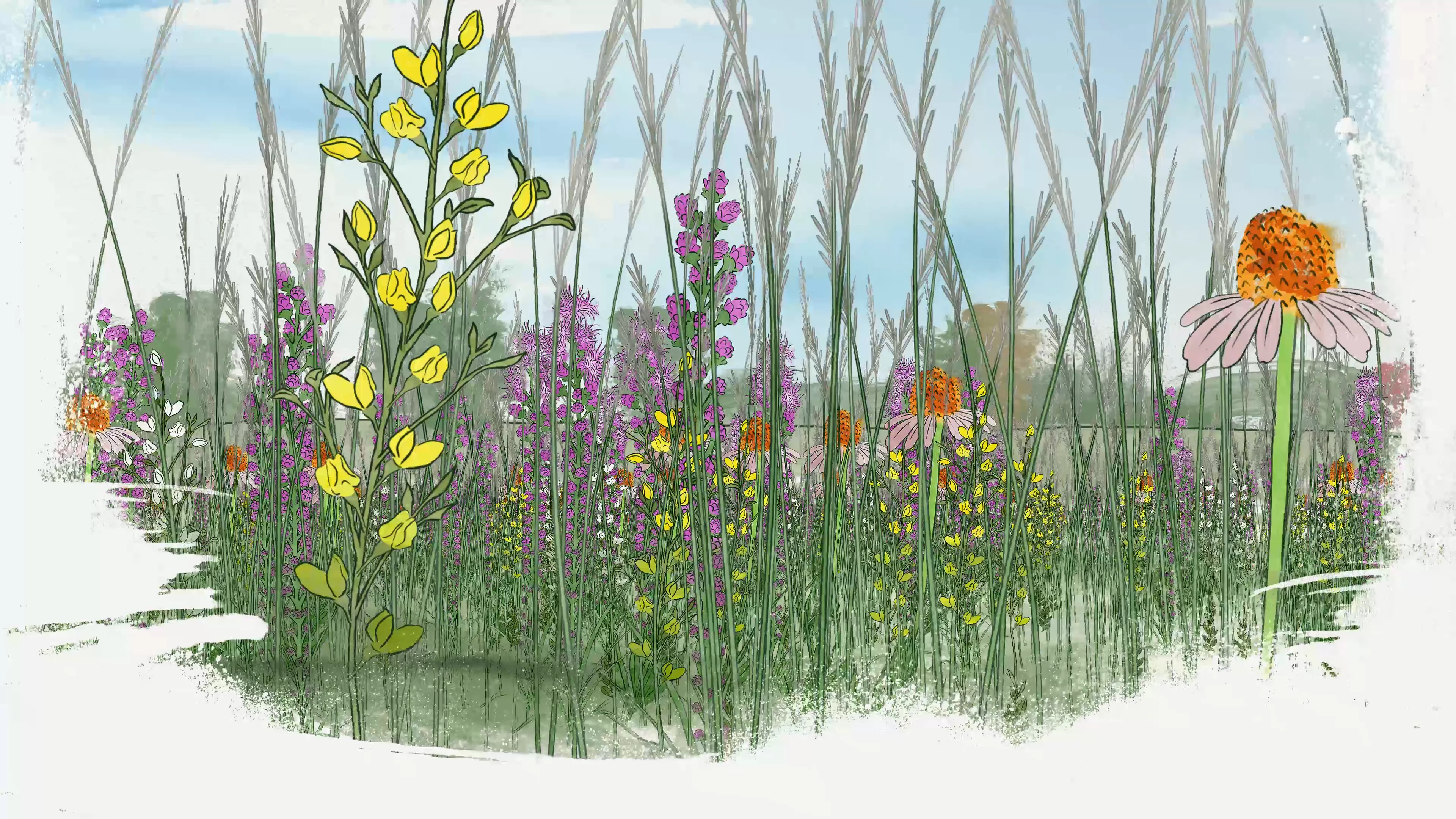 Wakehurst - American Prairie