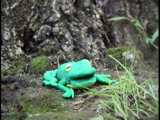 Fly eaten by Frog - Claymation on Vimeo