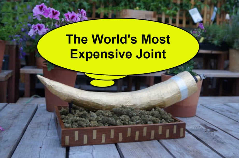 The World's Most Expensive Joint at ONLY $24,000.00 on Vimeo