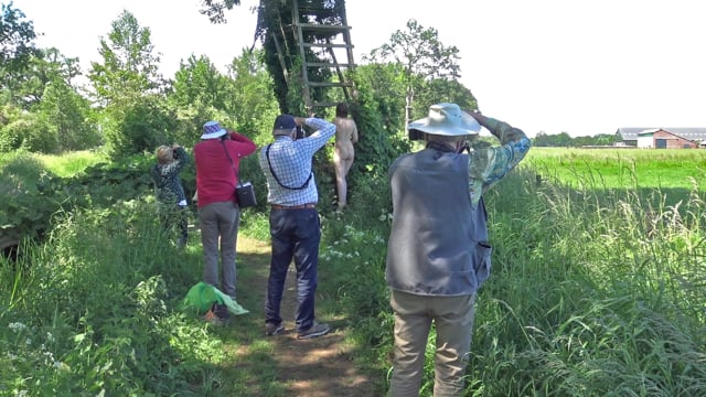 Figure workshops by Amit Bar on Vimeo