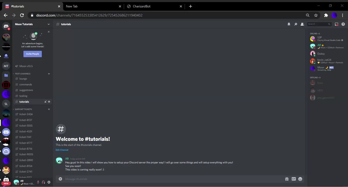 How to properly setup your Discord server explained. on Vimeo