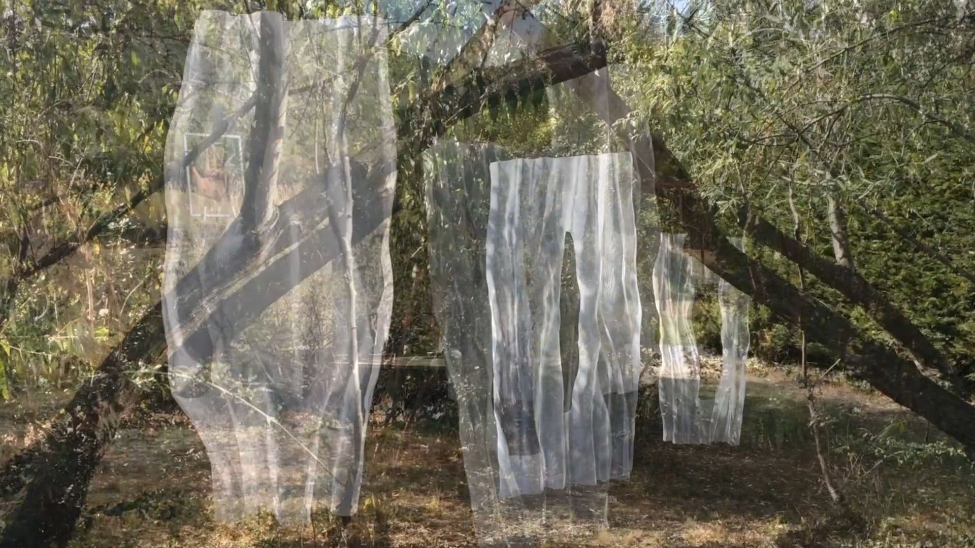 Abstract Garden Sculpture in BronzeMesh by artist David Begbie on Vimeo