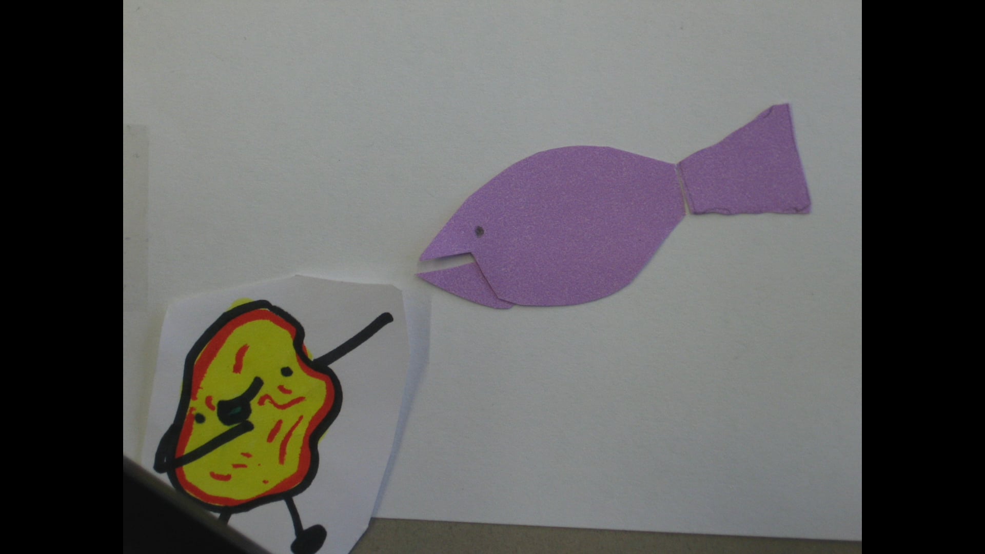 fish on Vimeo