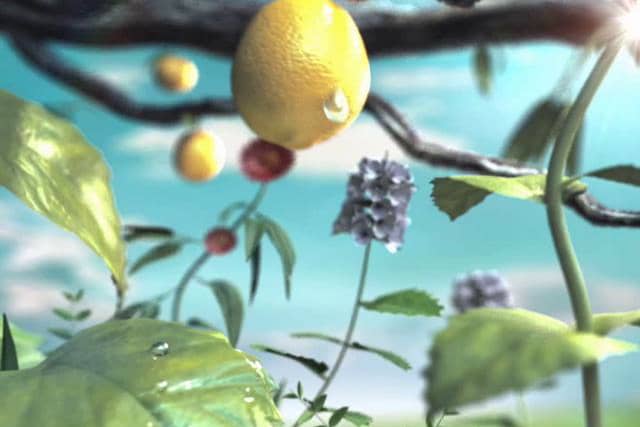 Plants animation on Vimeo
