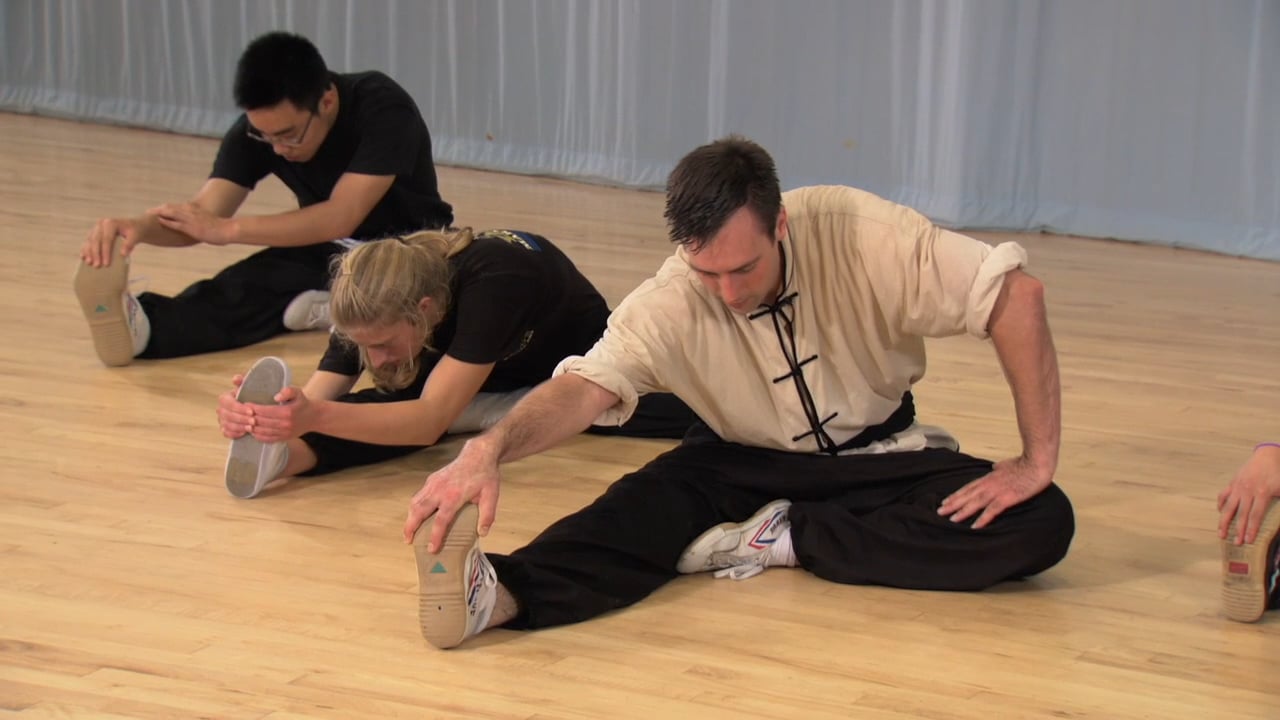 Watch Kung Fu for Kids: Workout Level 2 Online | Vimeo On Demand on Vimeo