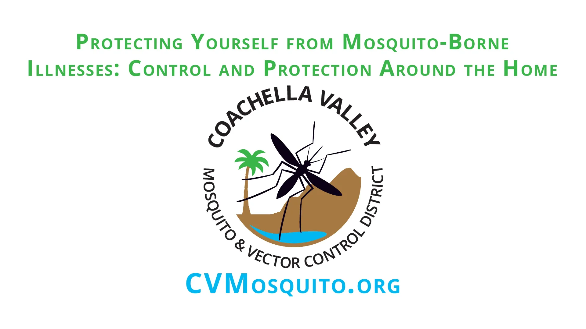 Protecting Yourself from Mosquito-Borne Illnesses - The Coachella ...