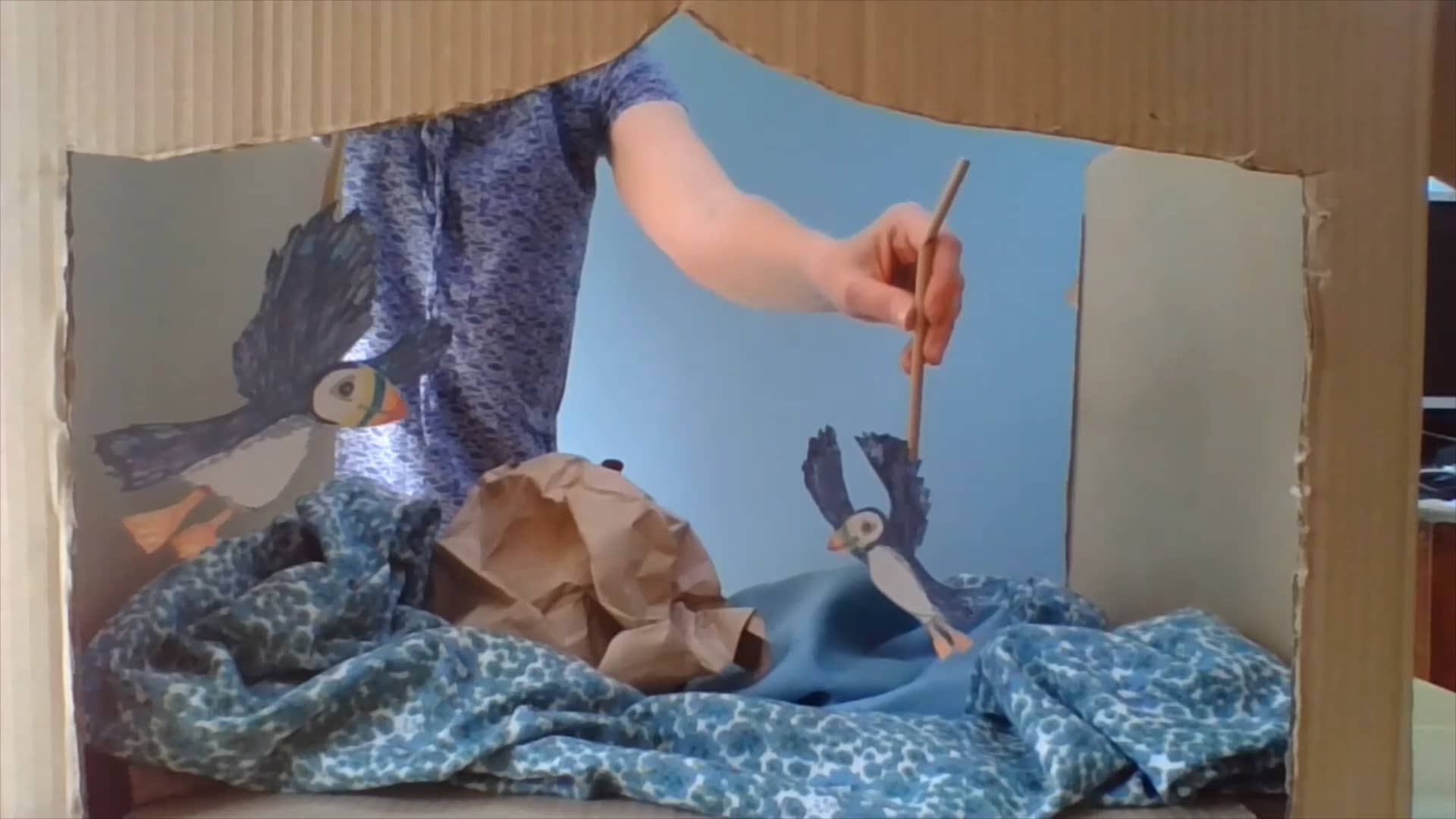 Puffin Peter on Vimeo