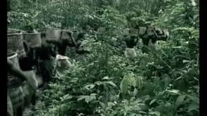 Watch CONGO: WHITE KING, RED RUBBER, BLACK DEATH Online | Vimeo On ...