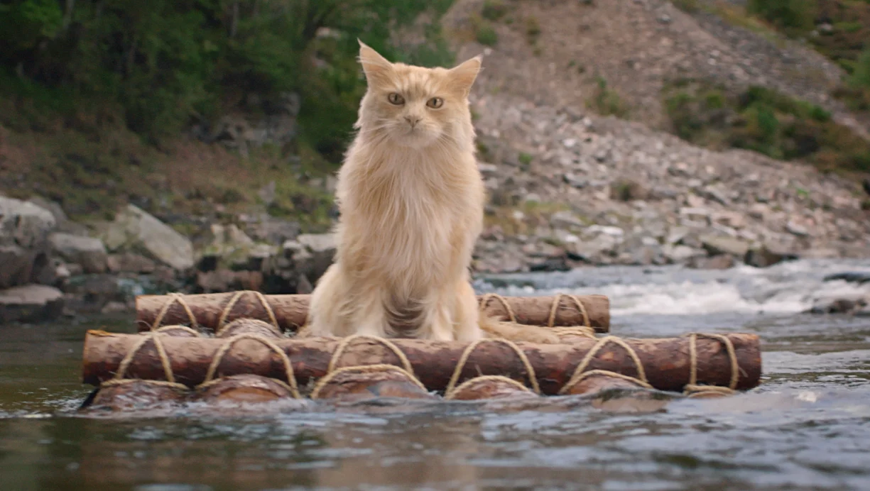 O2 Commercial on Vimeo