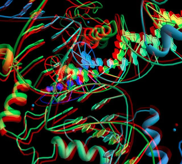 Stereoscopic 3D Macromolecule 1TF6