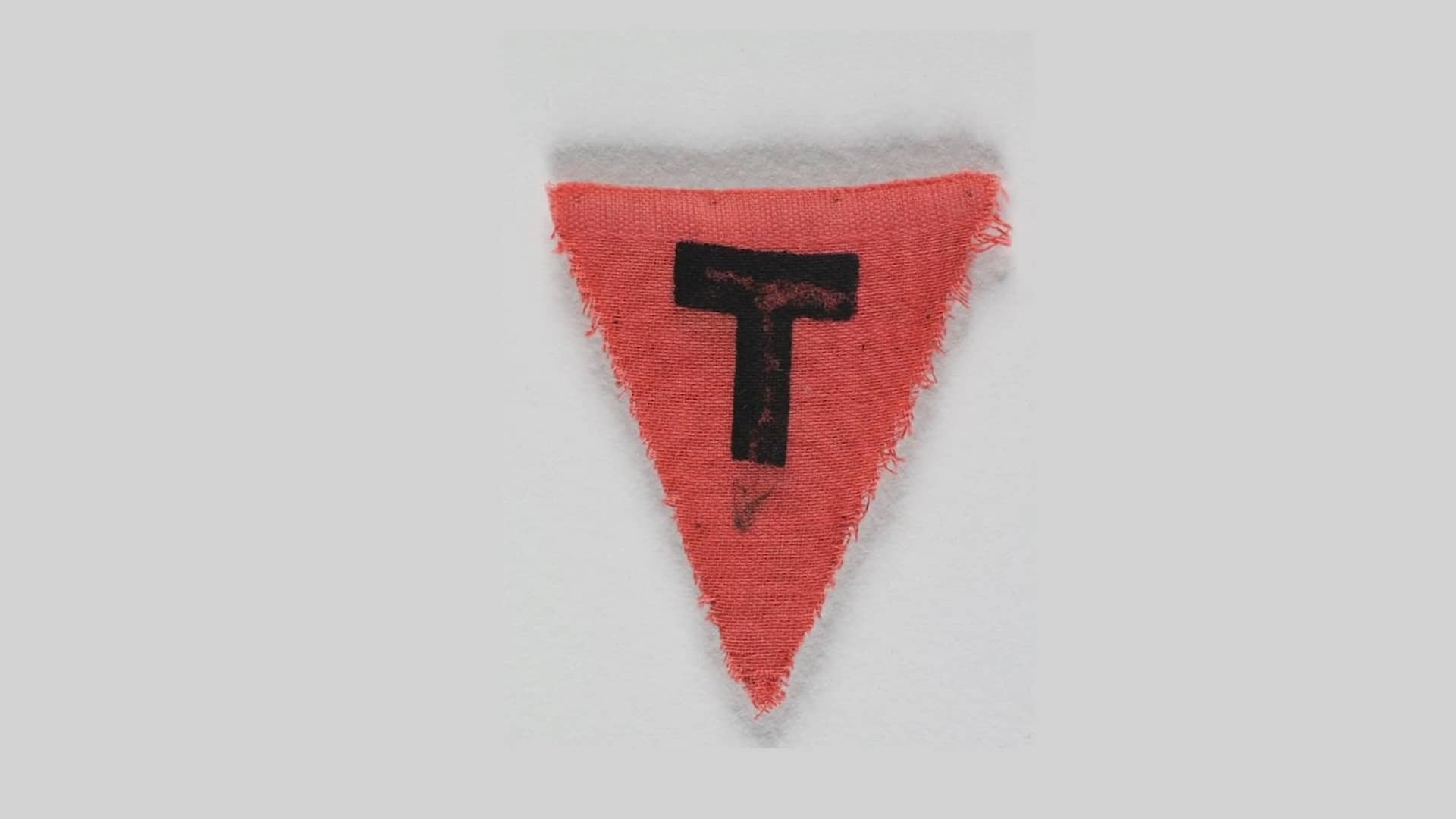 History Of The Pink Triangle on Vimeo