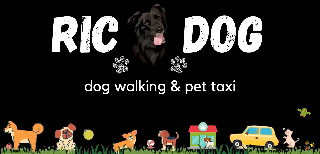 Ric Dog Home page beta on Vimeo