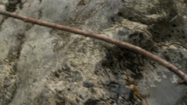 Slippers Float Fun - Free video on Pixabay