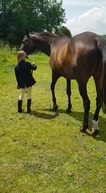 Class 5, Entry 3 — Nathan Kavanagh on Vimeo