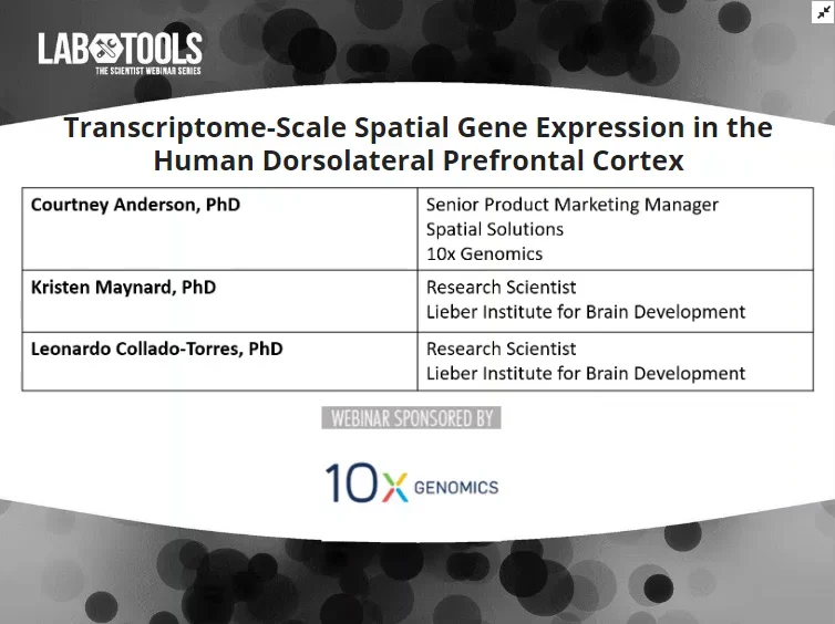 Transcriptome-Scale Spatial Gene Expression in the Human Dorsolaterial ...