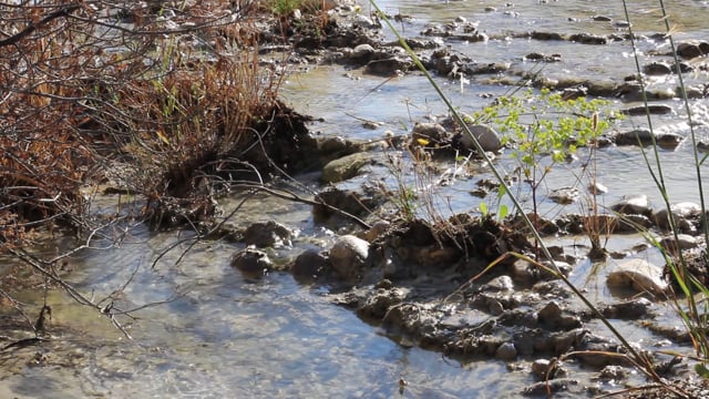 River, Brook, Water. Free Stock Video - Pixabay