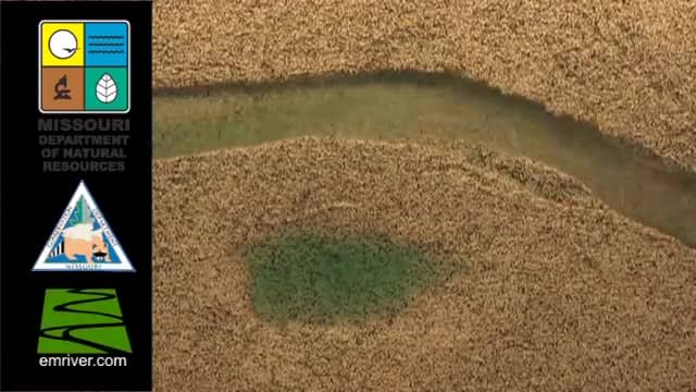 River Geomorphology (16) - Floodplain Wetland Draining Caused Channel ...