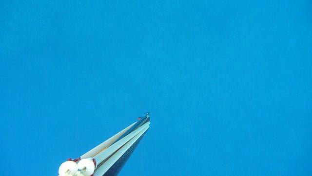 gros museau pointu à l agachienne on Vimeo