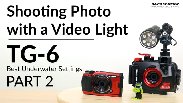 Video Tutorials - Olympus TG-6 | Best Underwater Camera Settings | Part ...