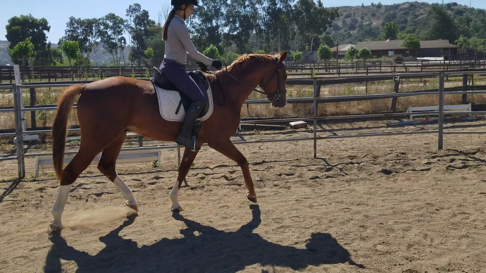 Quixotic KC aka Ducky 7/2/2020 on Vimeo