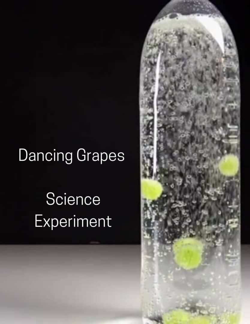 Dancing Grapes Science Experiment-Delta Family on Vimeo