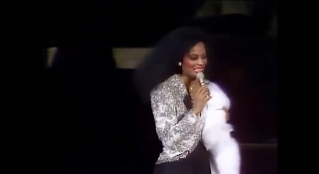 Professional Videos on Vimeo