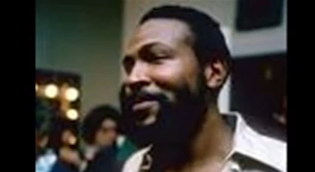 Professional Videos on Vimeo