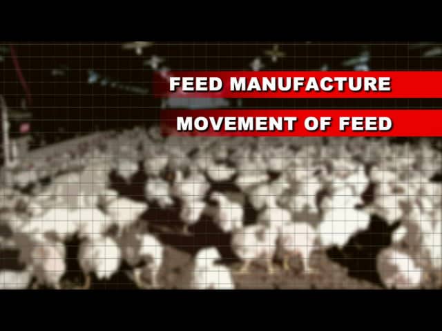 Ross Poultry on Vimeo