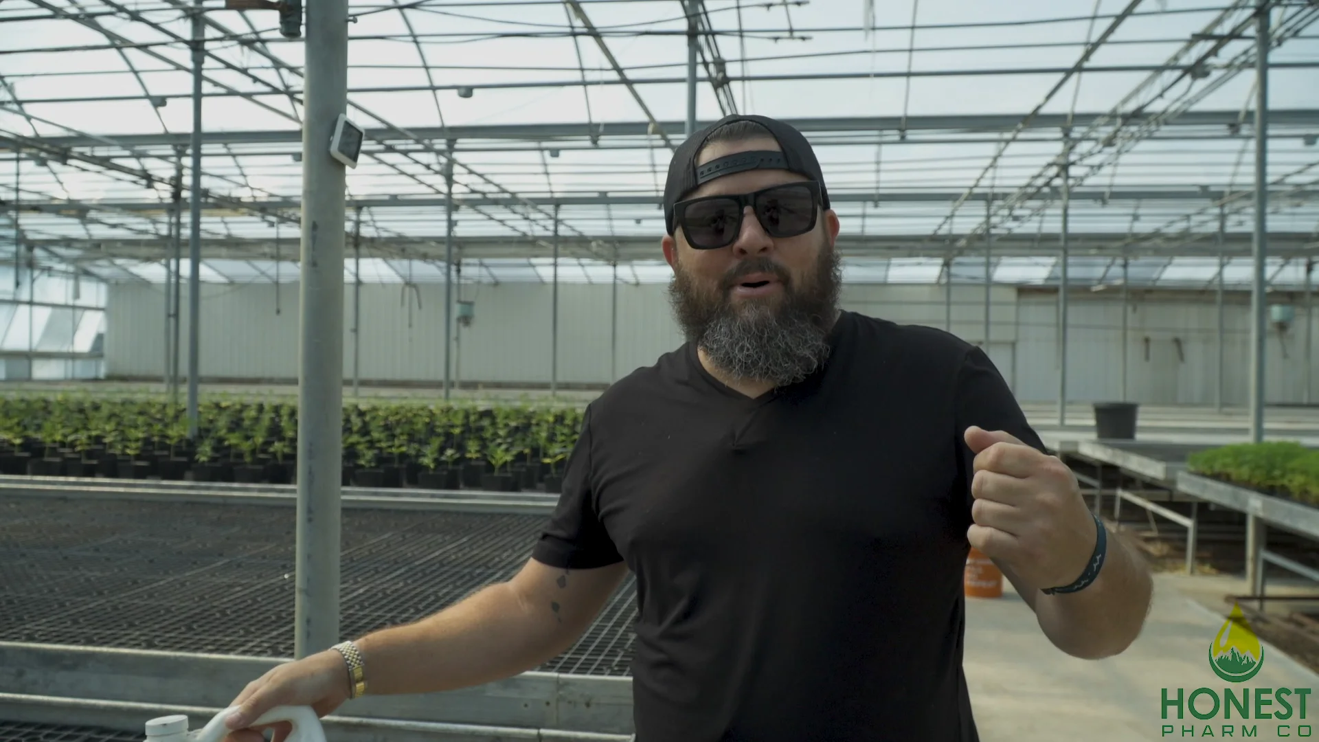 honset pharm co pest on Vimeo