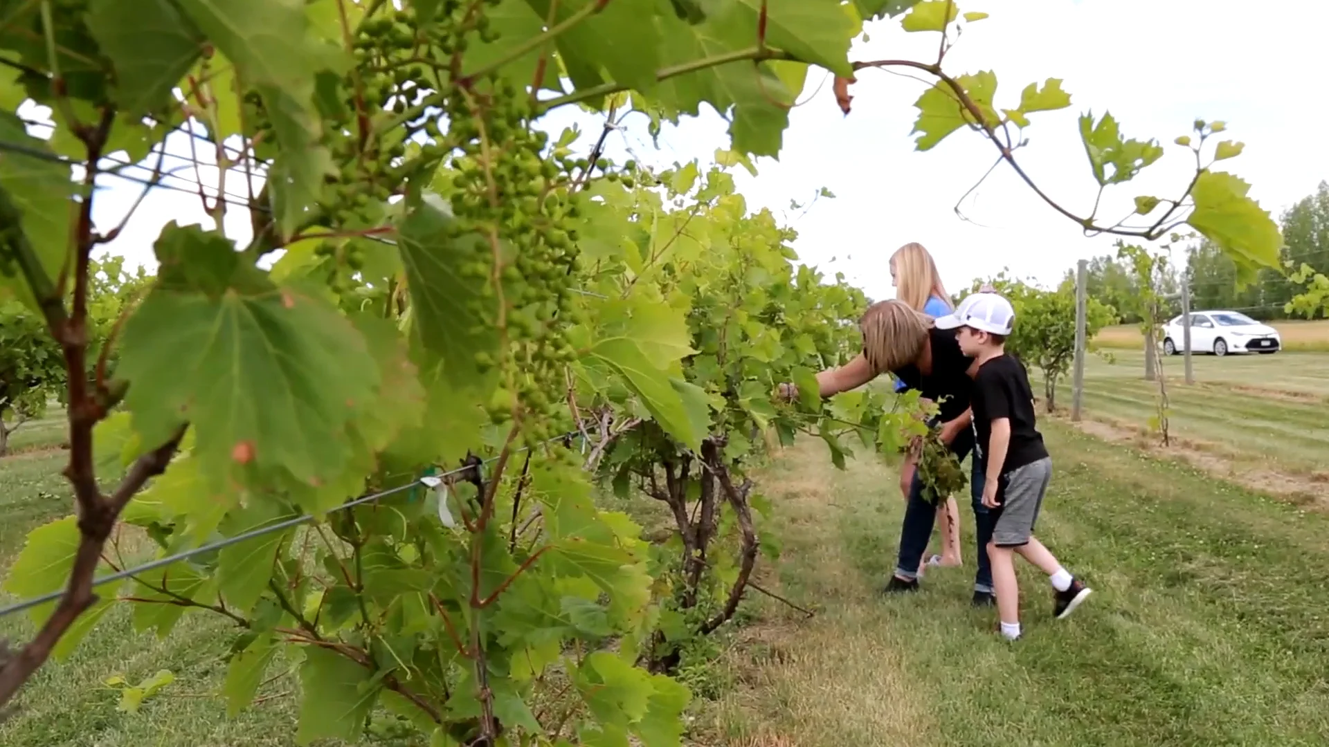 Live Wide Open DEFINITIONS: Amanda Frisch, Wheaton, MN on Vimeo