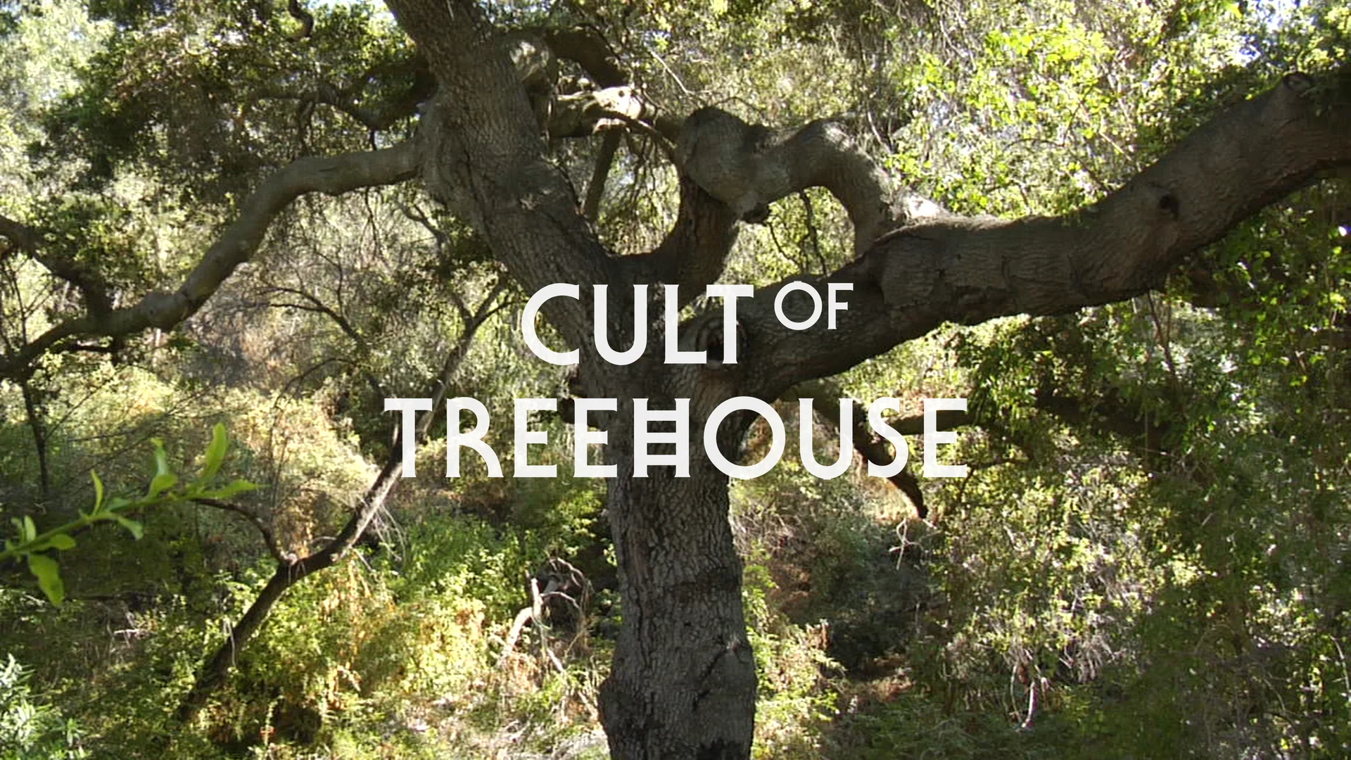 Cult of Treehouse on Vimeo