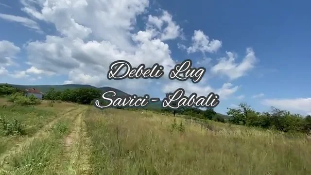 DEBELI LUG ( TOPLIČKI OKRUG ) ANCESTORS - PRECI on Vimeo