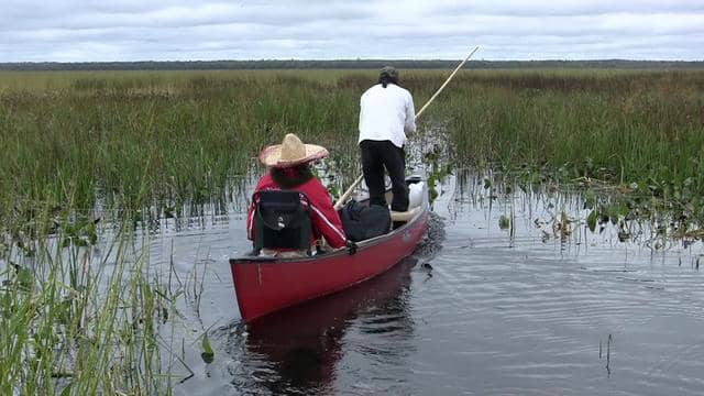 The Perennial Plate Episode 28: (Wild) Rice Lake on Vimeo