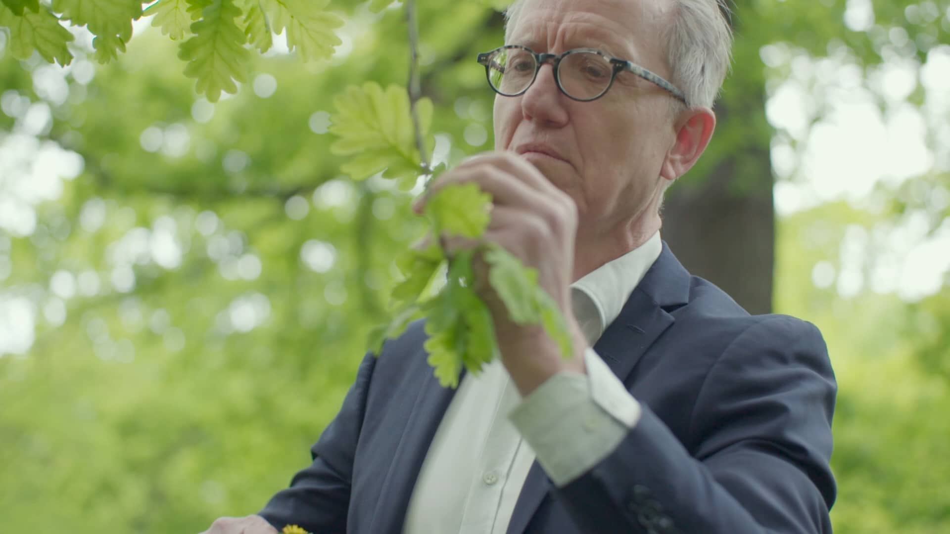 Hvordan er det at være en plante? – Michael Broberg Palmgren on Vimeo