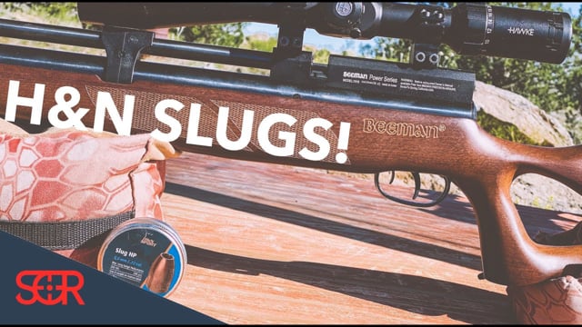 H+N SLUGS in Beeman QB Chief and Beeman Commander - Airgun101