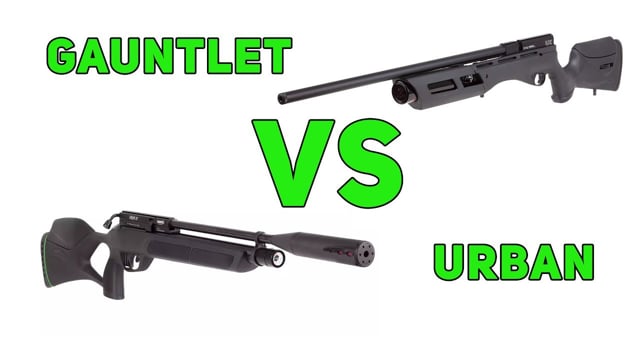 Gamo Urban VS Umarex Gauntlet - WHO IS KING OF THE BUDGET PCP! - Airgun101